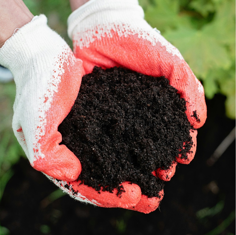Free compost, expert advice and bargain compost bins to help Suffolk ...