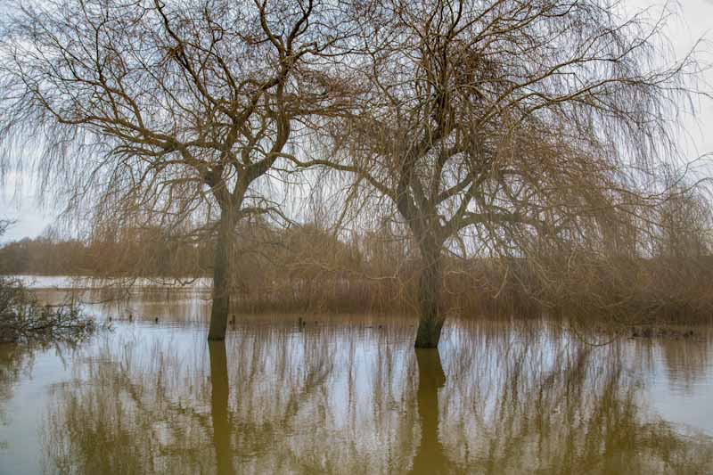 Flooding and drainage - Suffolk County Council